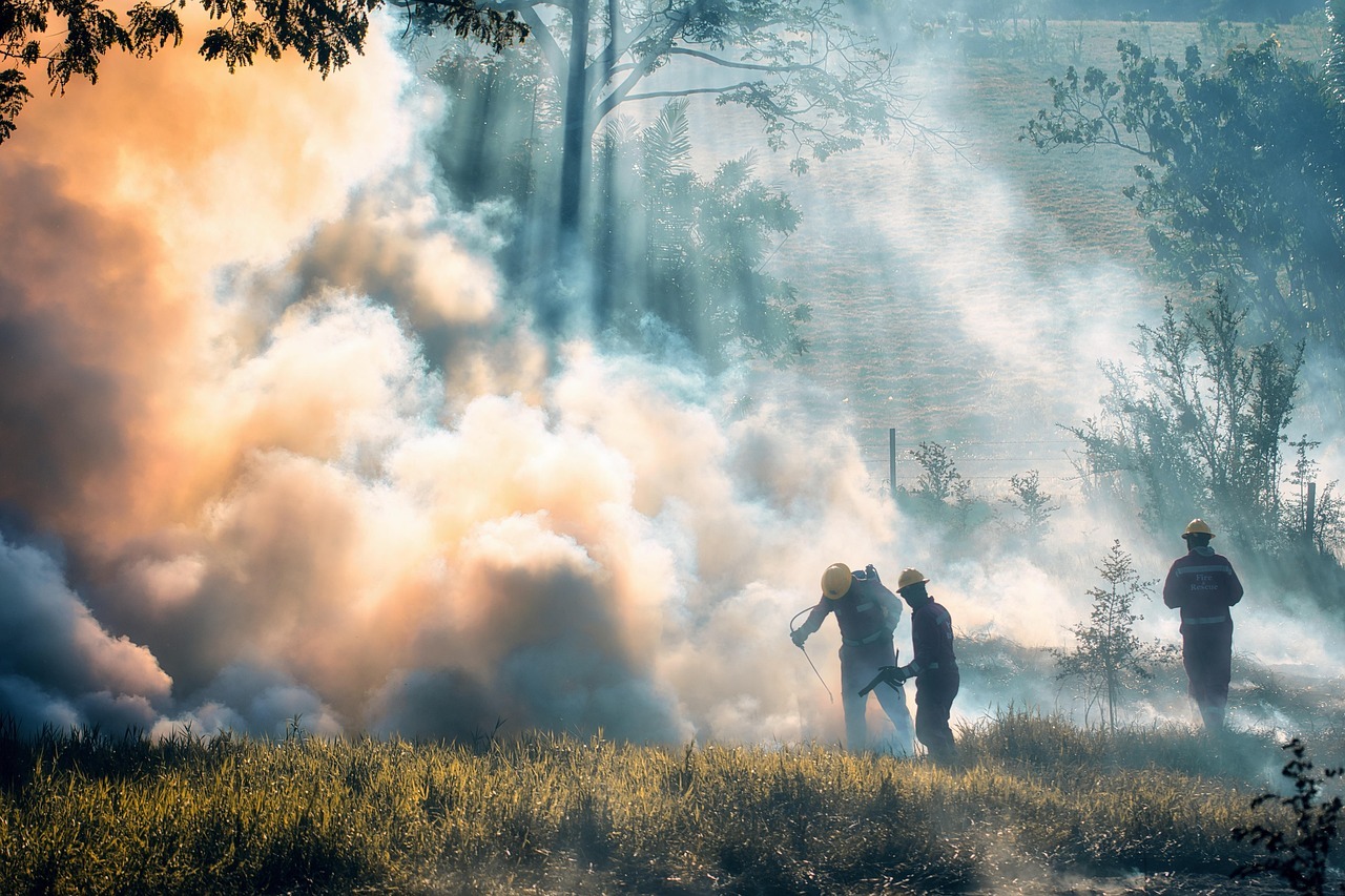 ‘Fascinating’ story on 1900 fire raises important questions - Plymouth ...